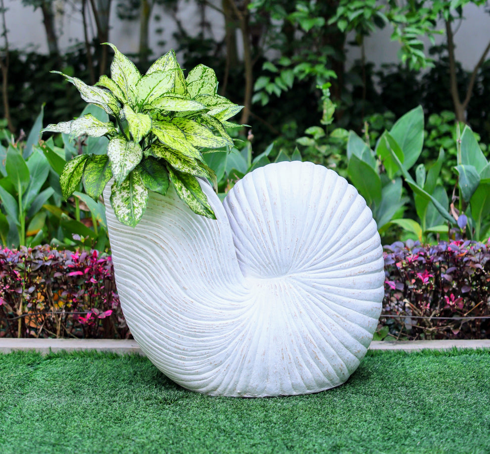 Sculptural Nautilus Shell Planter | GRC – Studio Pachita